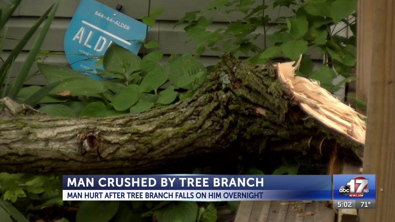 Man injured by tree branch during Sunday night storms - YouTube