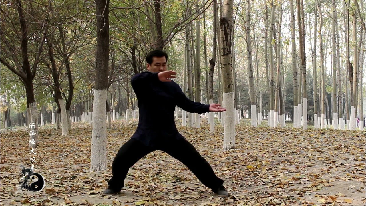 Chen Style Tai Chi Old Frame One (Chen Zefeng)陈泽峰陈氏太极拳老架一路完整版 - YouTube
