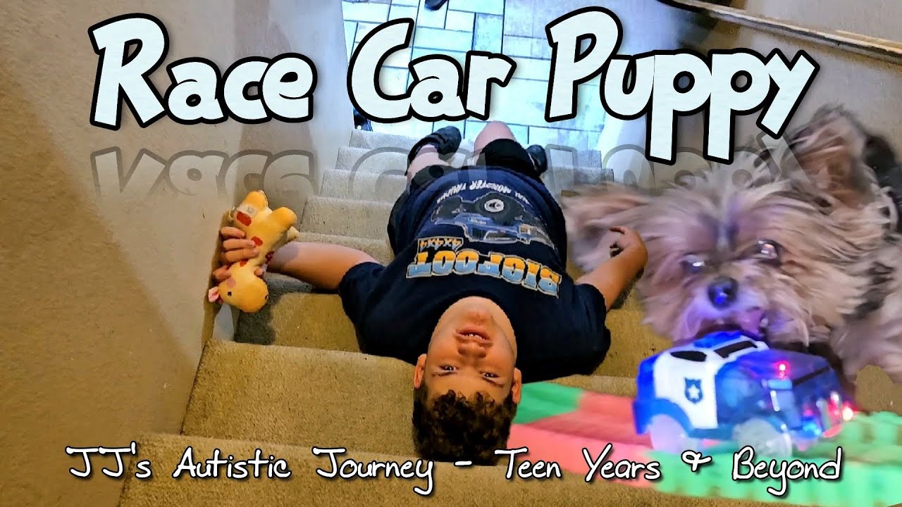 Race Car Puppy - YouTube