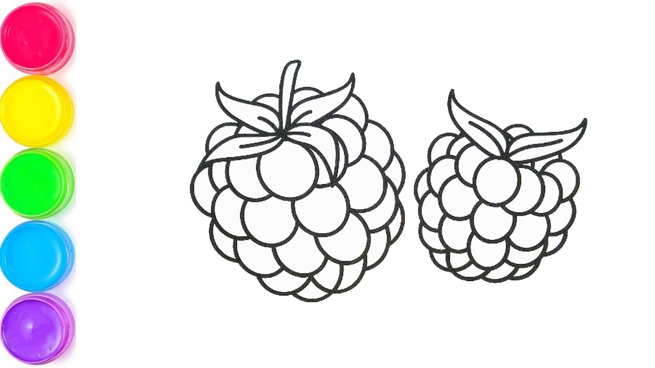 How to draw Rasberry | Easy Drawing 🤗🤩,Painting & Colouring for Kids # ...