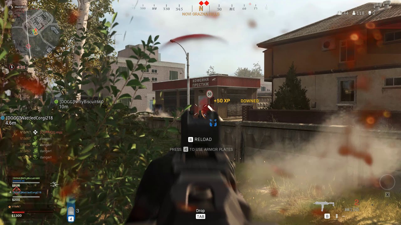 Call of Duty Modern Warfare 2019: Warzone Down | Shot with GeForce ...