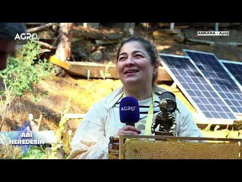 122 Ülkeyi Geride Bırakan Türk Balının İnanılmaz Sırrı! / Abi Nerdesin?