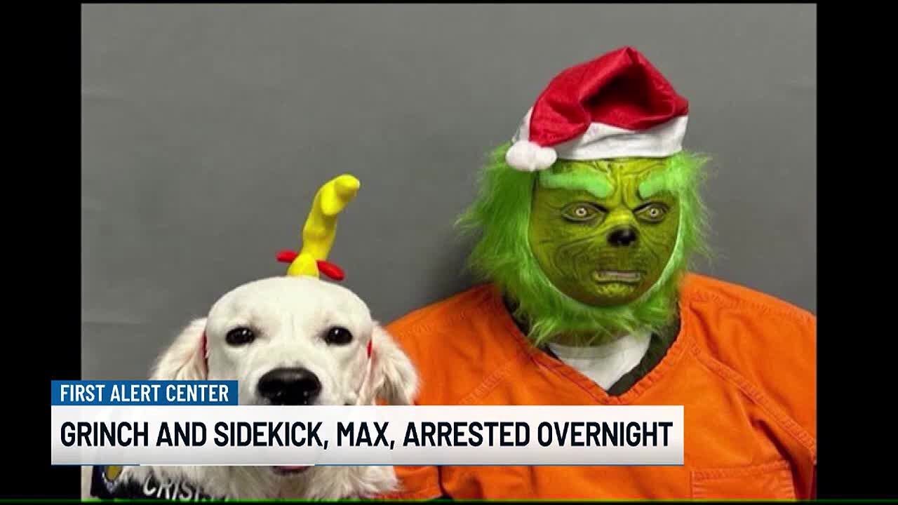 Illinois police release body cam footage of Grinch arrest - YouTube