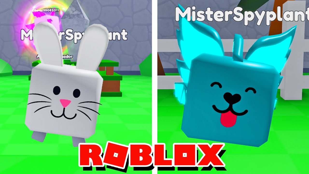 VI BLIVER BEDRE END ALLE PETS!? Pet Evolution Simulator - YouTube