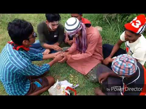 New  bangla badaima video