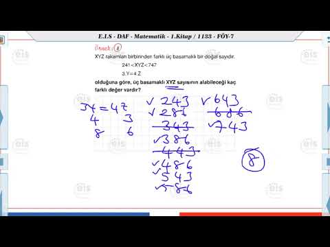Matematik 1 -   Sayı Basamakları 1 📏