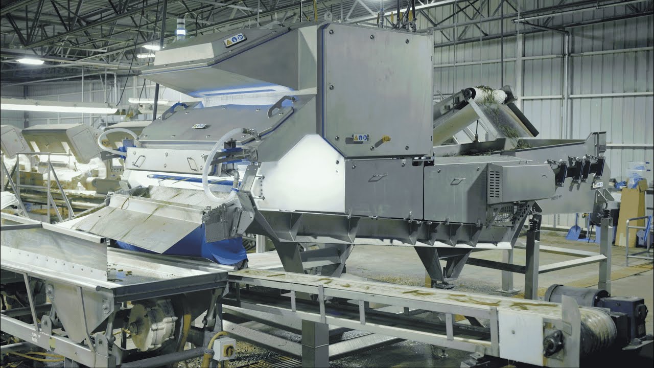Key Technology COMPASS (belt-fed) Optical Sorter-Green Beans - YouTube