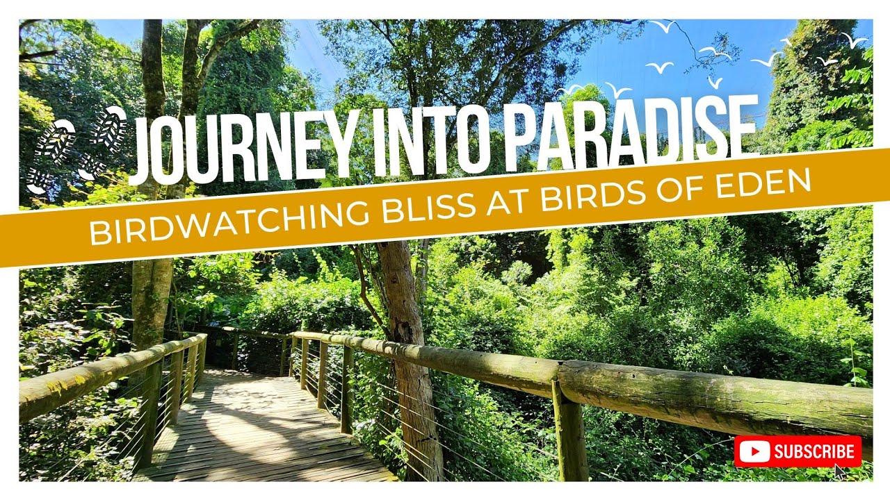 Unveiling the Secret Wonders of Birds of Eden Sanctuary, Plettenberg ...
