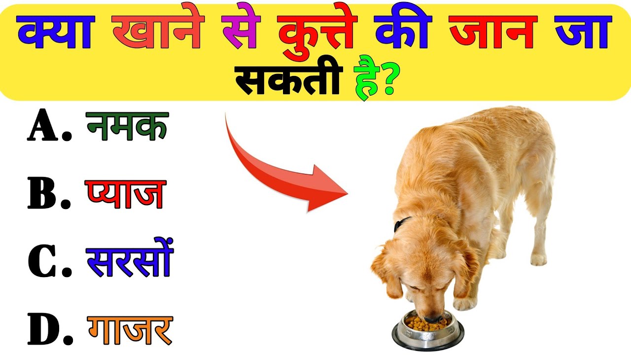 General Knowledge || GK Question and Answer || GK quiz || Hindi GK || SK GK STUDY | - YouTube