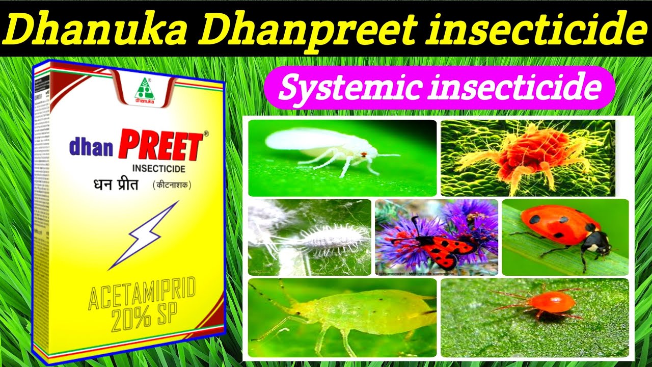 dhanpreet insecticide|dhanuka agritech|Acetamiprid-20%SP|dhanpreet ...