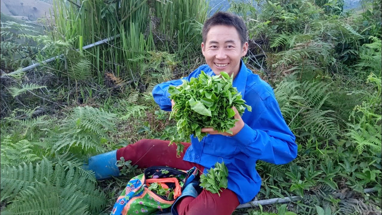 yav tsaus ntuj wb mus de zaub iab - YouTube