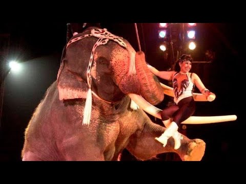 Colonel Joe al Circus Vargas (Usa, 1993) - YouTube