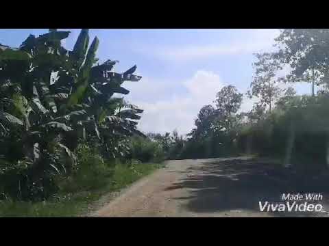 Sitio Baag, San Jose Tarlac - YouTube