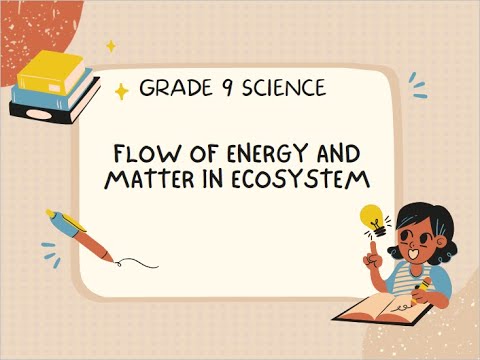 Grade 9 Science | Flow of Energy and Matter in the Ecosystem - YouTube