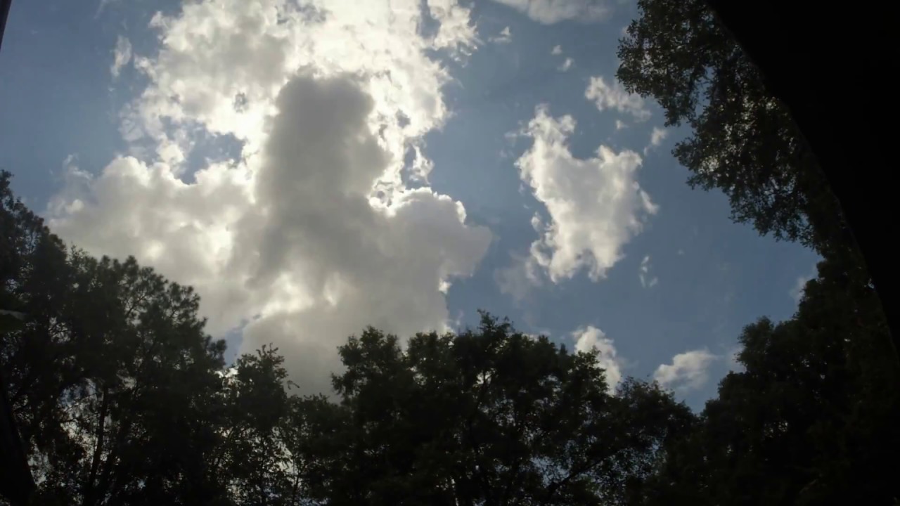 8 21 2017 Eclipse Tallahassee FL - YouTube