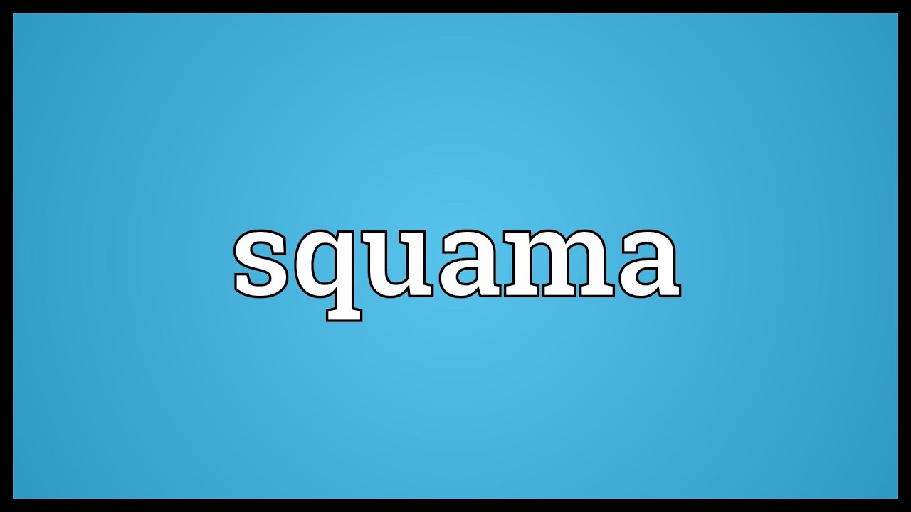 Squama Meaning - YouTube