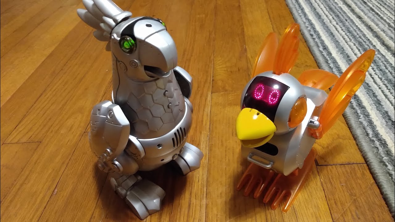 Robot Birds: Tekno "Polly" Parrot and Japanese Chirpy-Chi - YouTube