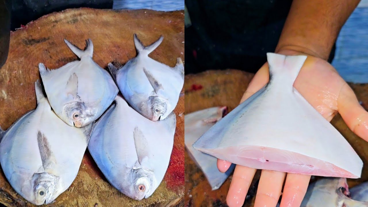 White Pomfret Silver Pomfret Vella Avoli Cutting Skills Sagar Fish ...