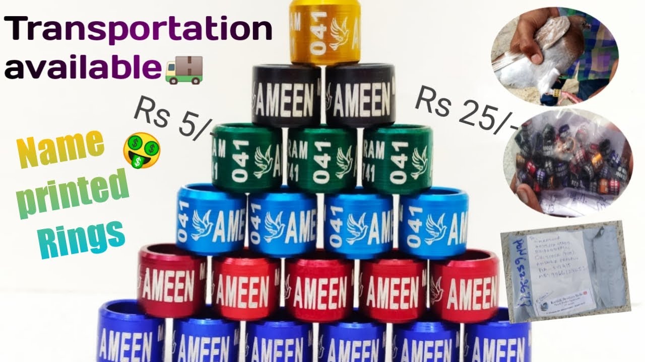 How to buy pigeons rings complete details||#rings#pigeon rings#low cost ...