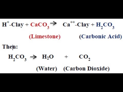 How does lime work - 101! - YouTube