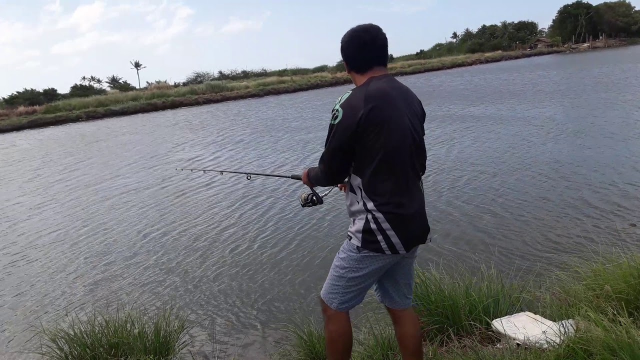 Barramundi fishing (catch & released) - YouTube