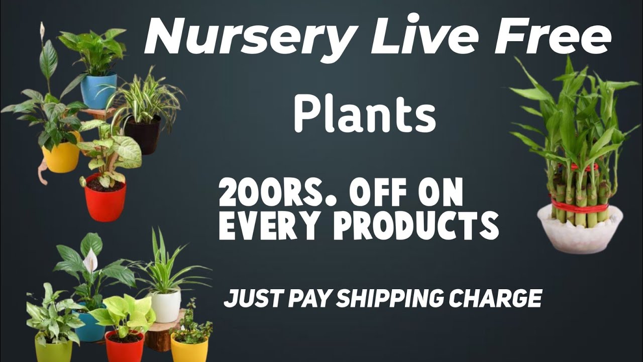 Free Plants From Nursery Live | Get Today Free Plants | How to Get Free ...