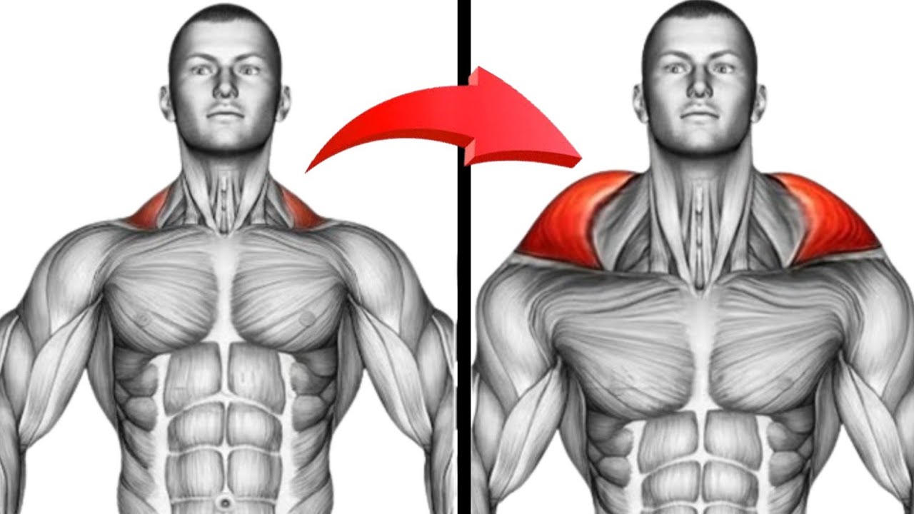 Best exercises for Bigger Neck and Traps || Make Your Shoulder Big ...