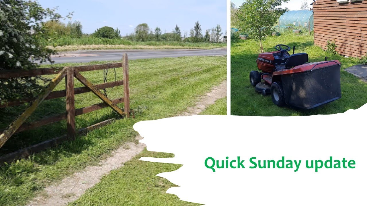Quick Sunday update - YouTube