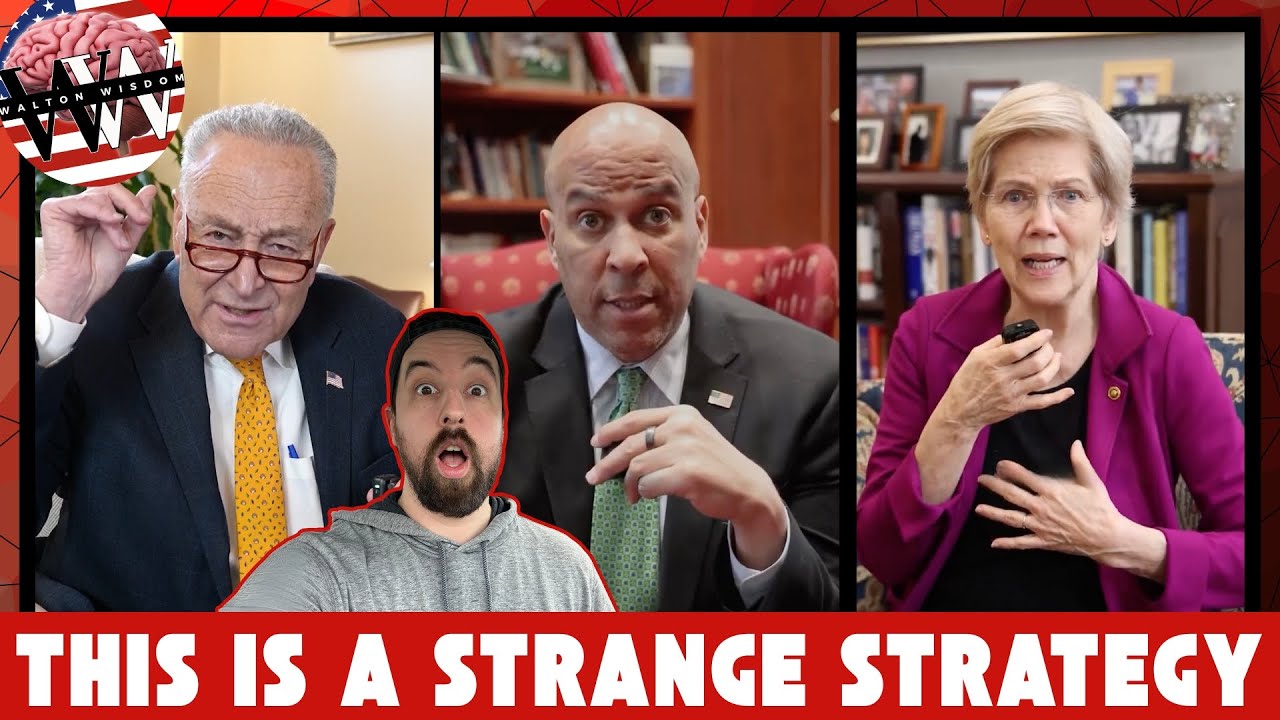 NEW Democrat Strategy - YouTube