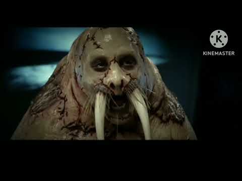 Obey the walrus 