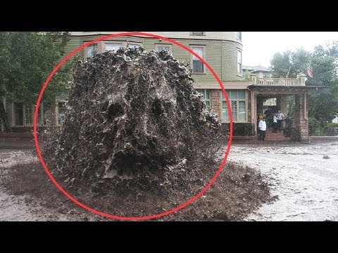 BİR Anda ORTAYA ÇIKAN 10 Esrarengiz YARATIK