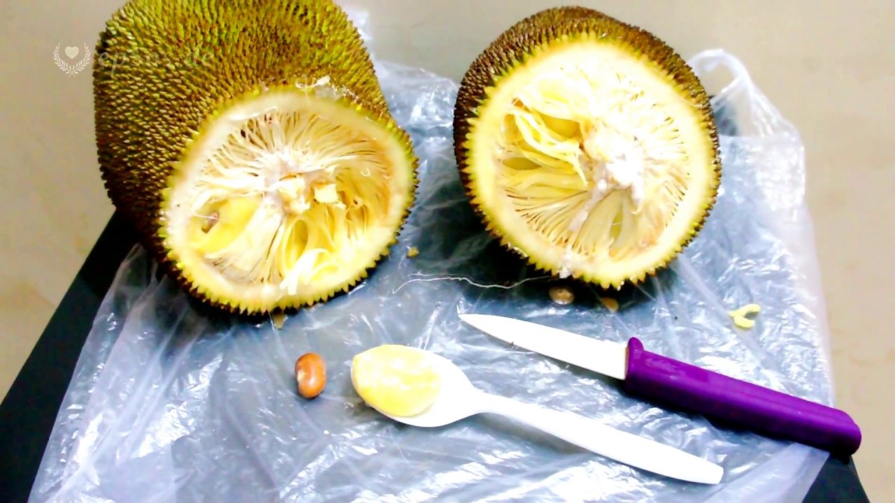 The Largest Fruit in the World. - YouTube