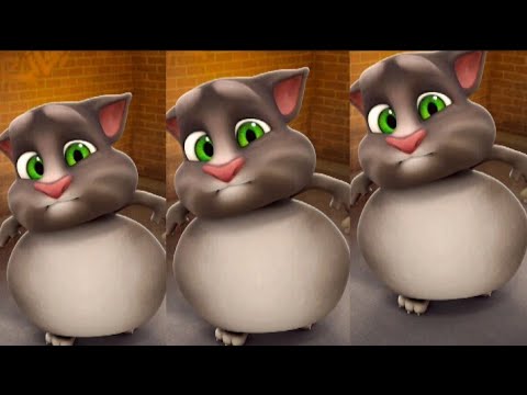 how to you Mota Billi my talking cat top video 2024 - YouTube