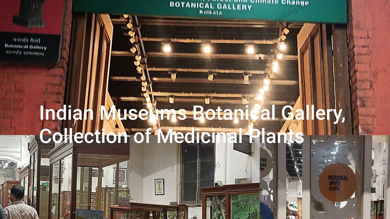 Indian museums Botanical Gallery, Collection of Medicinal plants and ...