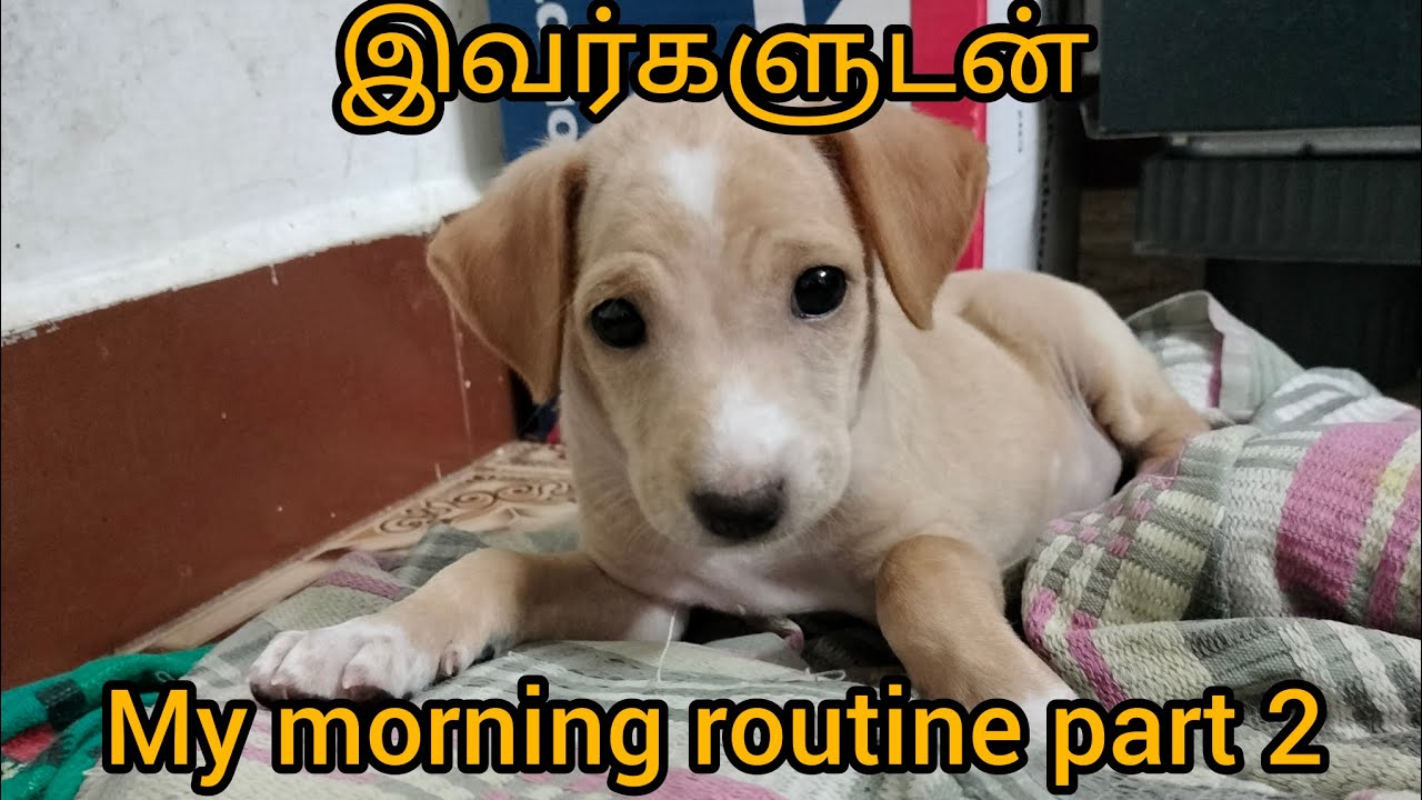 my morning routine part 2 #videos - YouTube