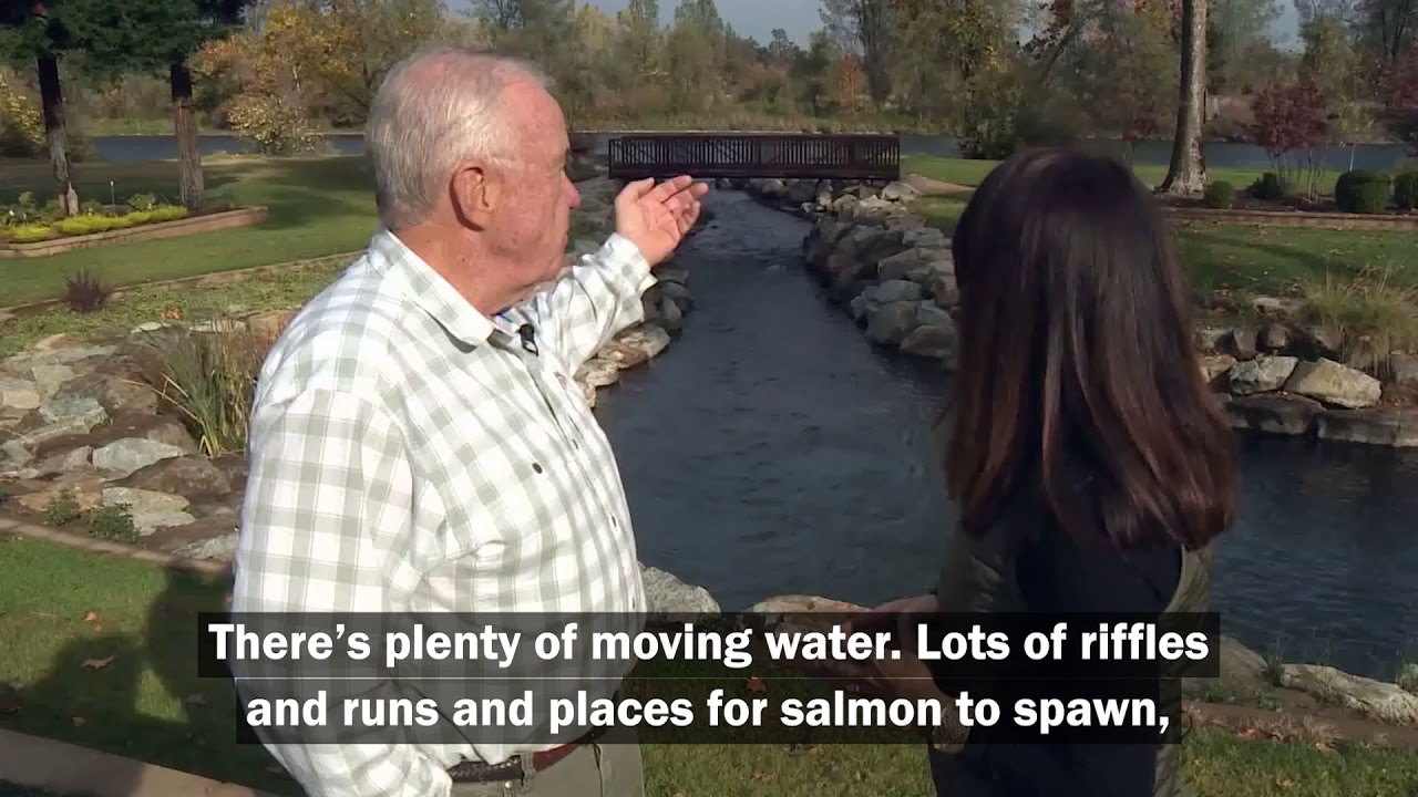 Mike Michalak - Salmon Habitat Restoration Project - YouTube