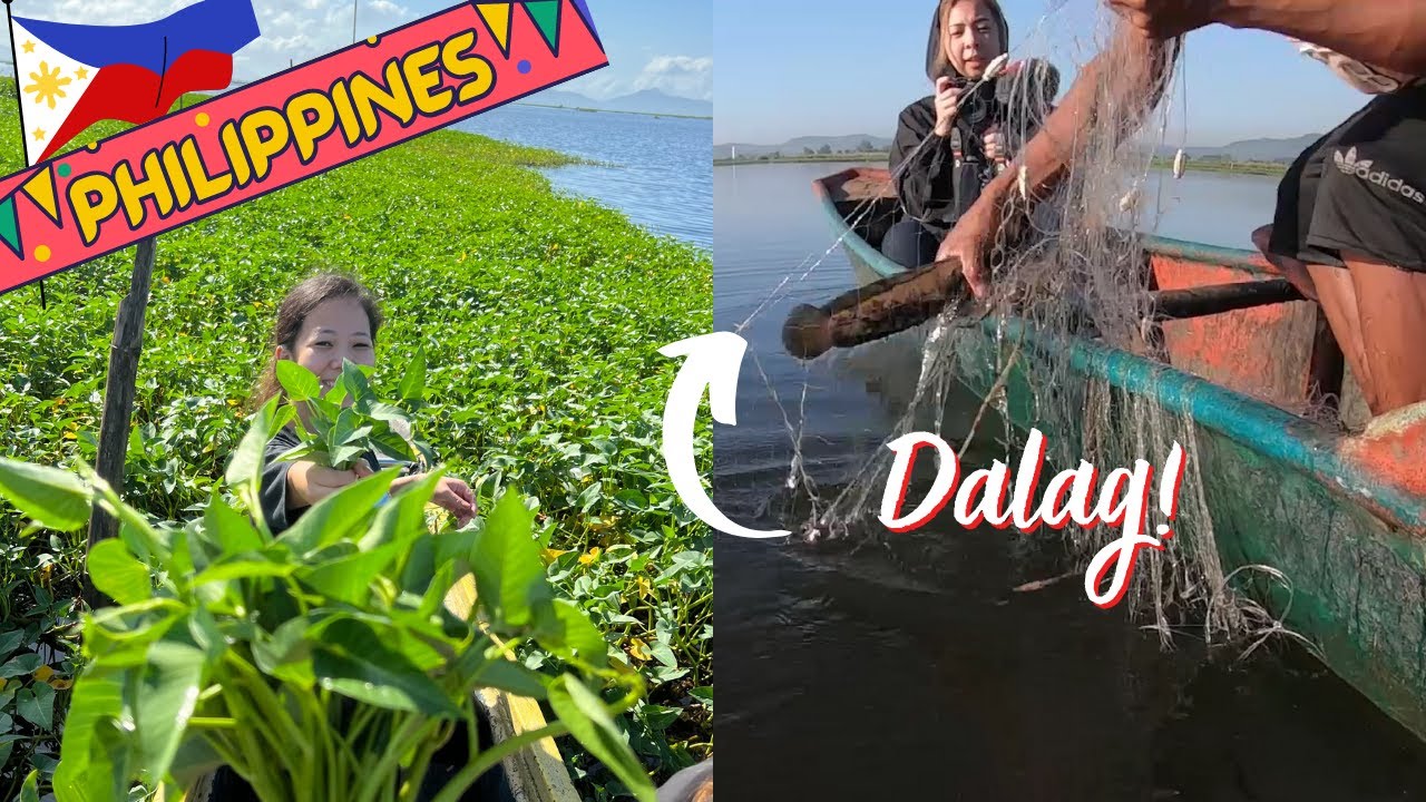PULO PROBINSYA EXPERIENCE| BARAS RIZAL Park| May Dalag, Kangkong ...