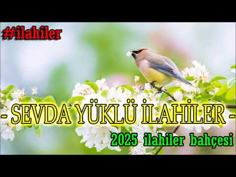 Sevda Yüklü İlahiler 💚 2025 İlahiler Bahçesi 💚 Sevilen İlahiler