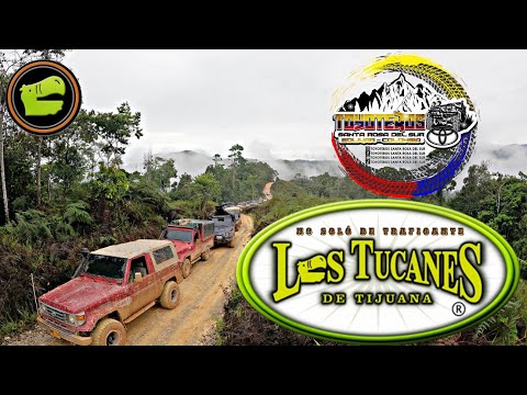 No Sólo De Traficante - Los Tucanes De Tijuana #tucanesdetijuana #santarosadelsur @lostucanesdetj