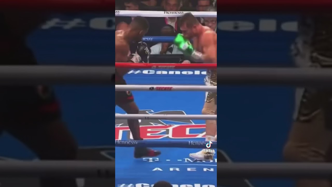 Canelo head movement improvement - YouTube