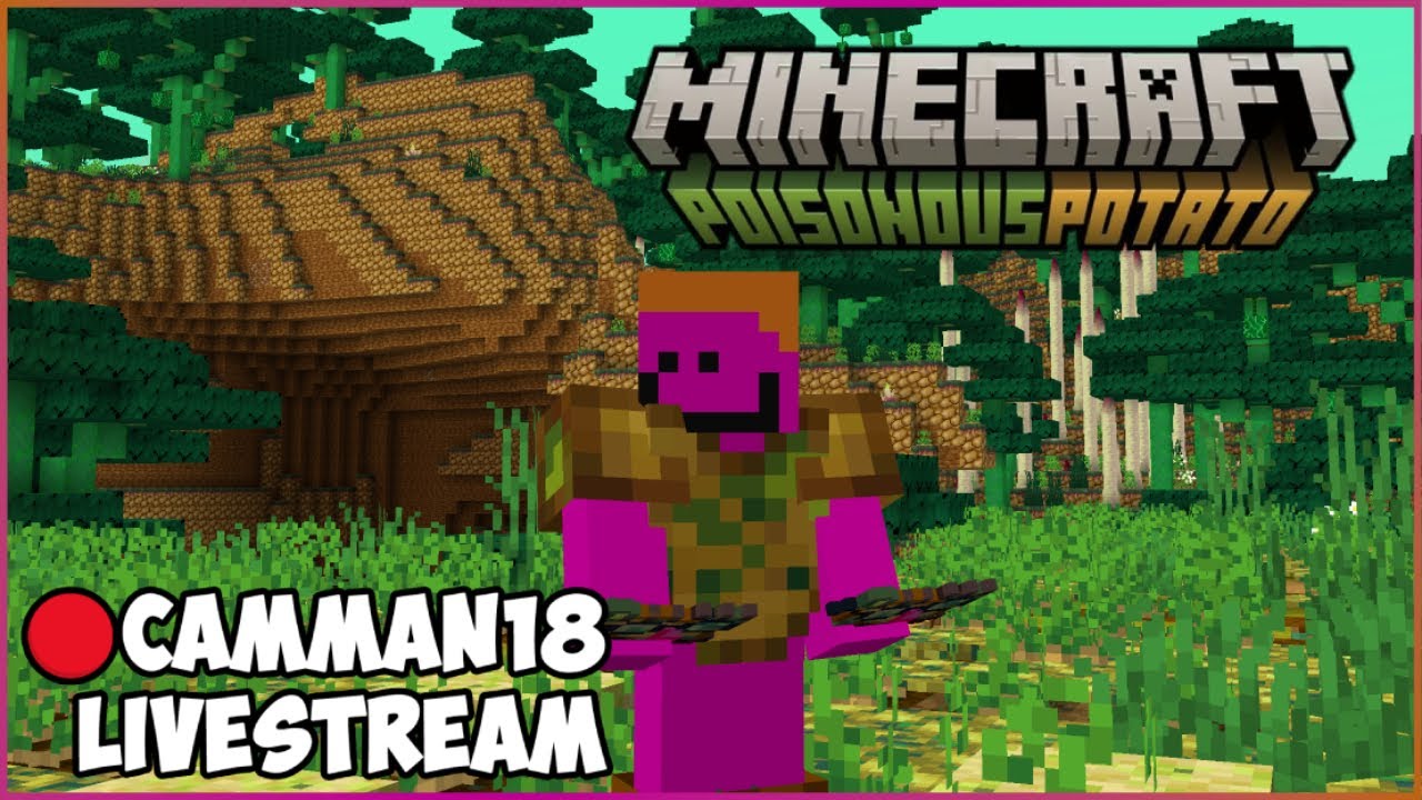Beating The Potato Dimension in Minecraft camman18 Full Twitch VOD ...