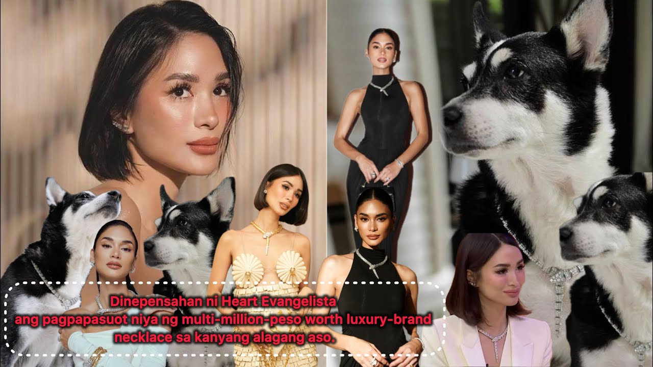 21 August 2024 - YouTube