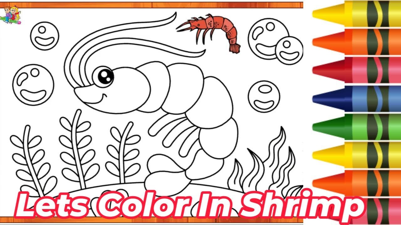 Coloring Shrimp Sea Animal For Kids | Best videos for kids and Toddlers ...