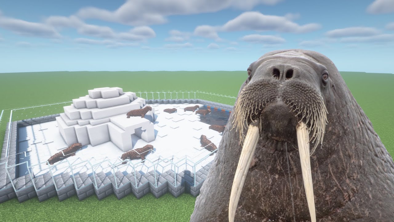 How To Make a Walrus Farm in Minecraft PE - YouTube