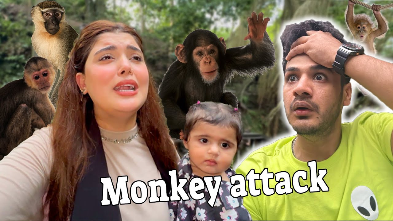 First Time Jungle Main Gaye || Monkey Nay Attack Kar Diya Mery Py - YouTube