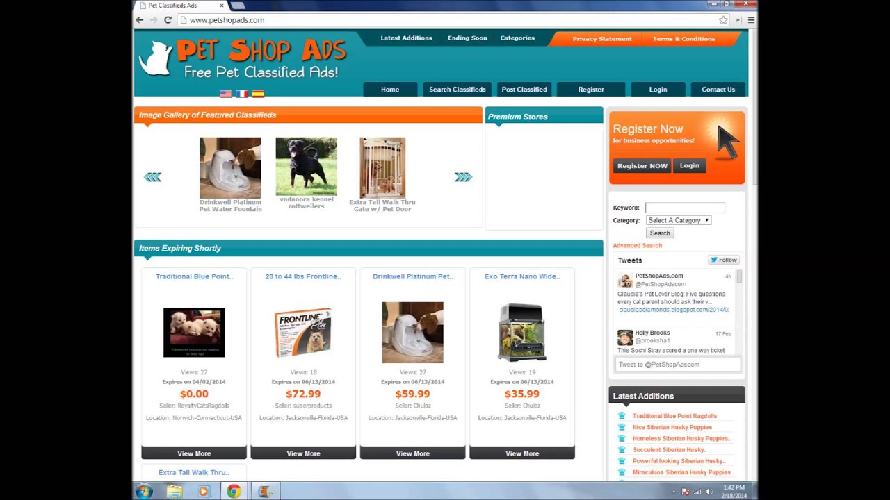 Pet Classified Ads Free Dog ads Cat ads - YouTube