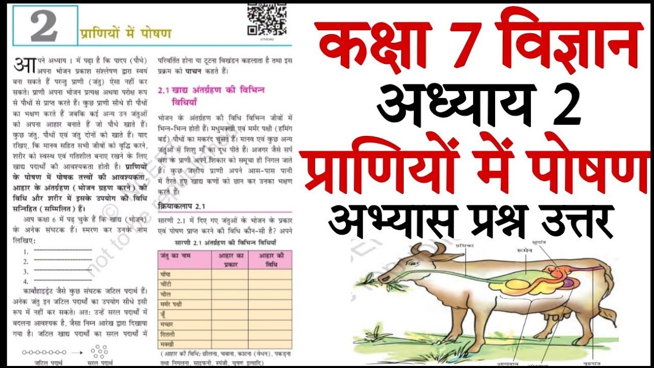 class 7 science chapter 2 question answers | science class 7 chapter 2 ...