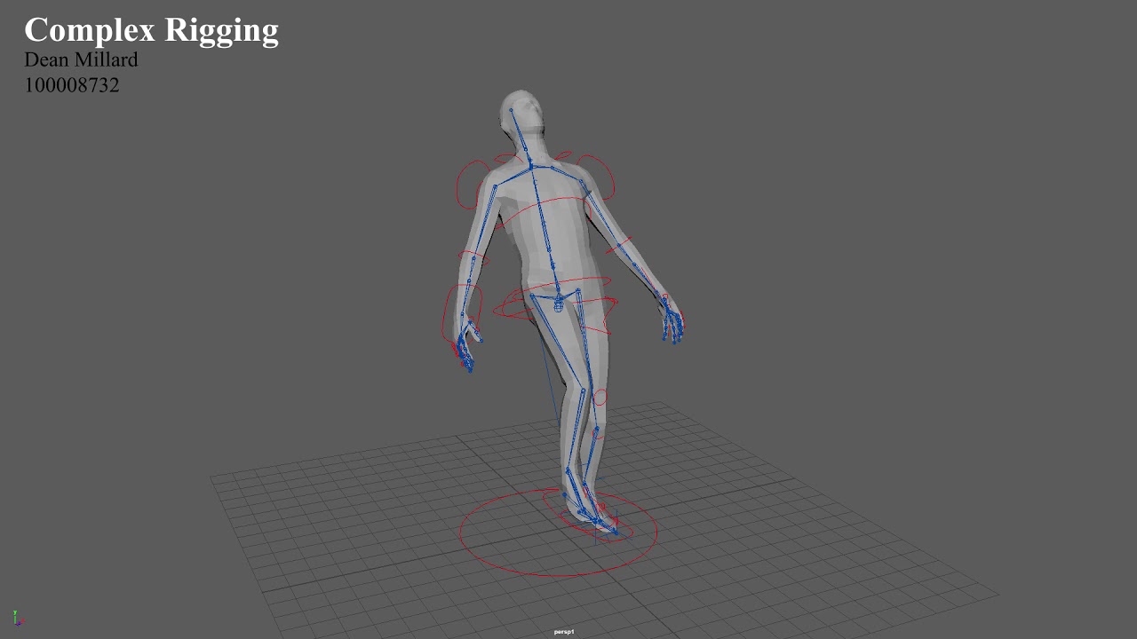 Human Body Rig Demo - YouTube