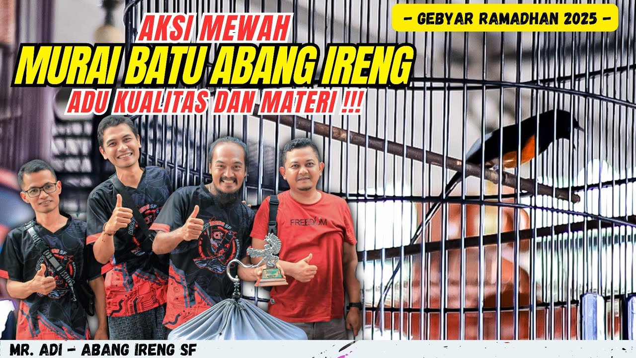 Aksi Mewah Murai Batu ABANG IRENG Adu Kualitas dan Adu Materi - YouTube
