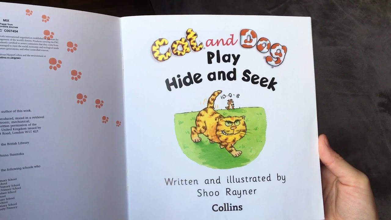 Cat and Dog play Hide and Seek - YouTube